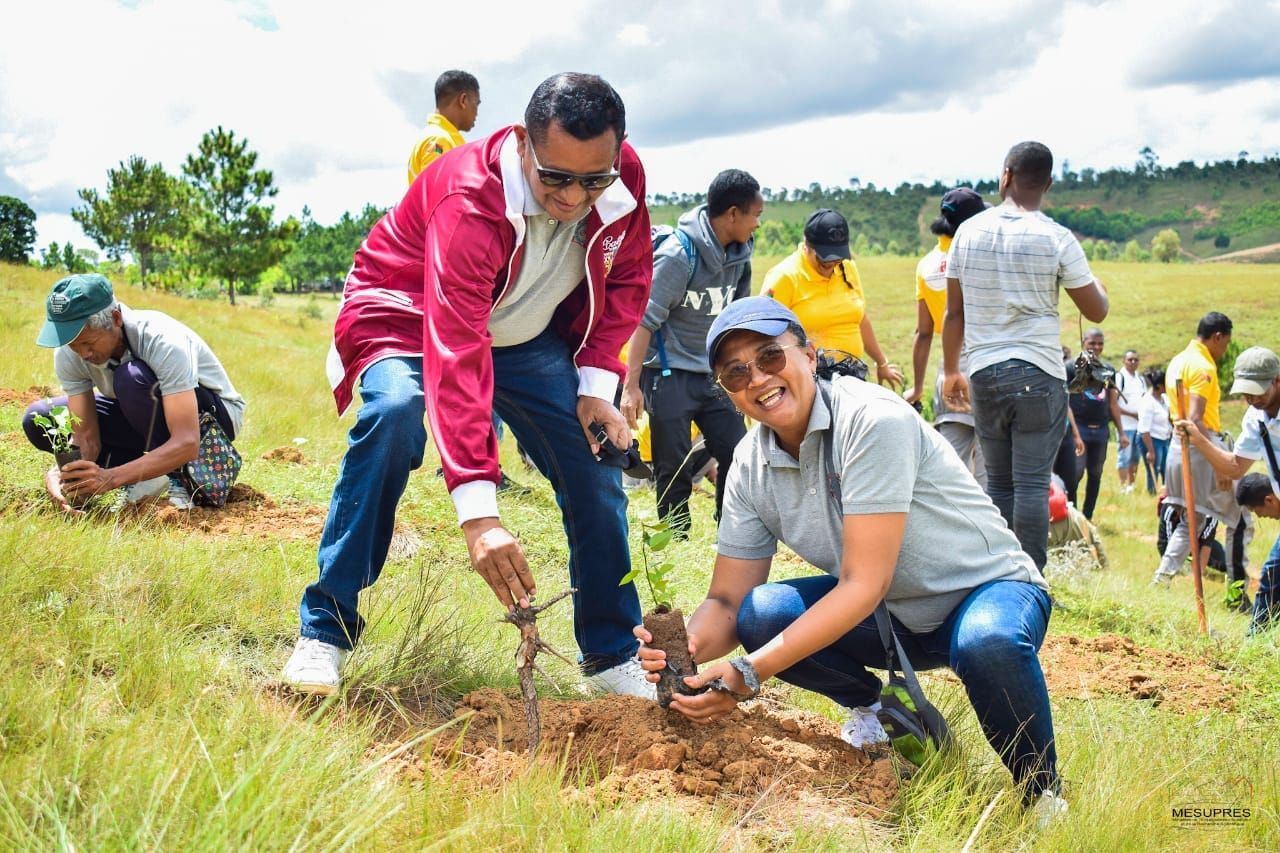 Reboisement 2023 par le ministère de l'enseignement supérieur Madagascar