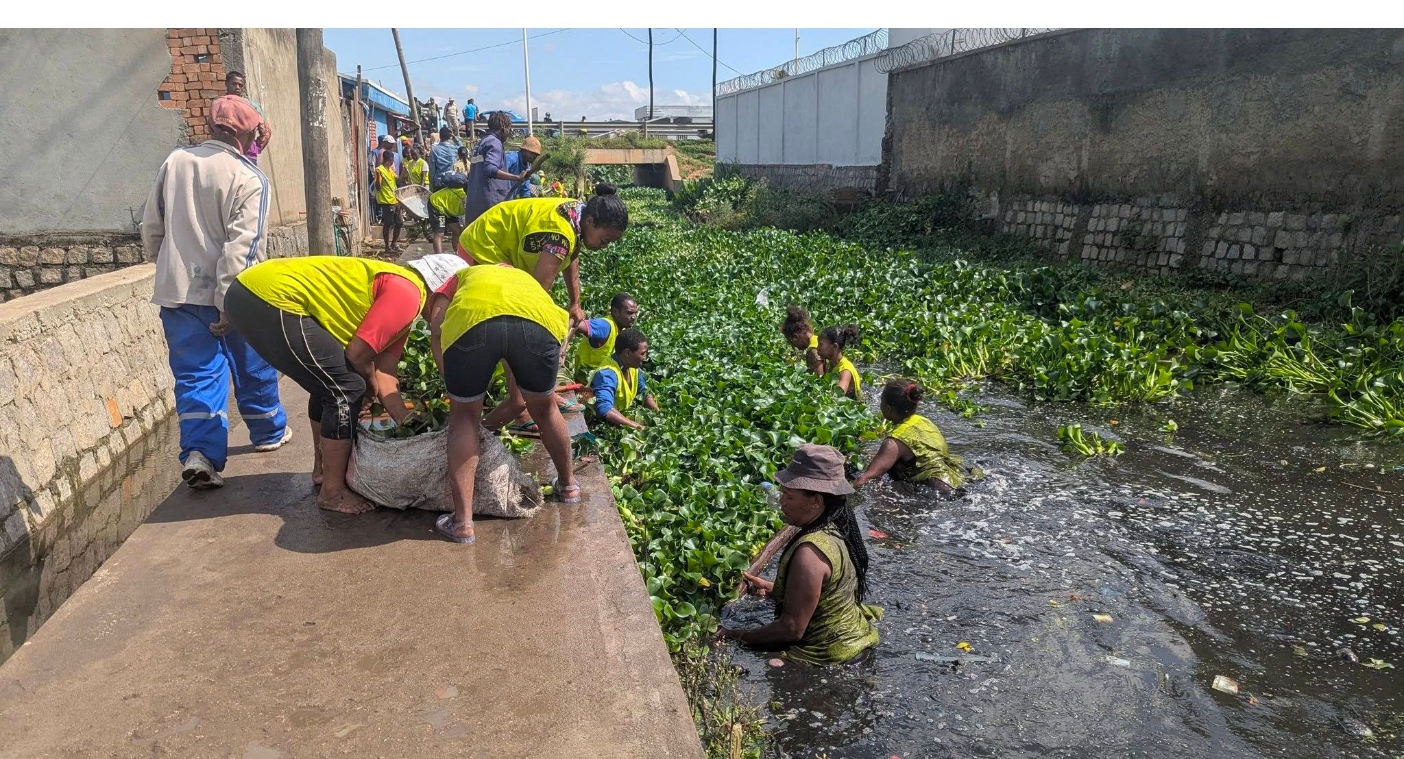 Caméléons - Massif du Makay